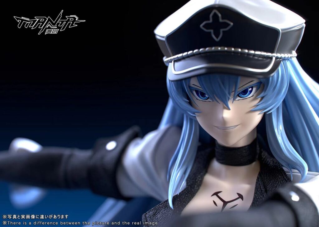 Esdeath - Akame Ga Kill - Manta - Monkey Hobby since 2017