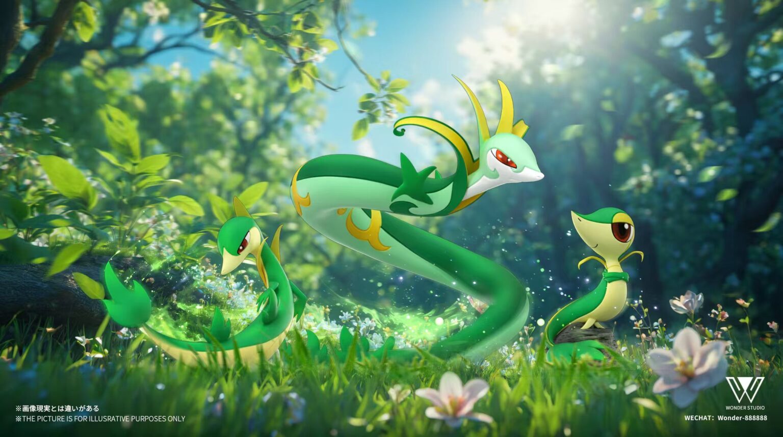 Pokemon - Wonder - Monkey Hobby since 2017